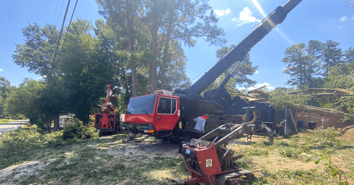 Tree Service | NC Trees and More | Raleigh | Durham | Chapel Hill