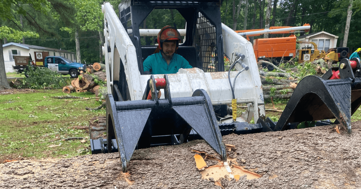 Tree Service | NC Trees and More | Raleigh | Durham | Chapel Hill